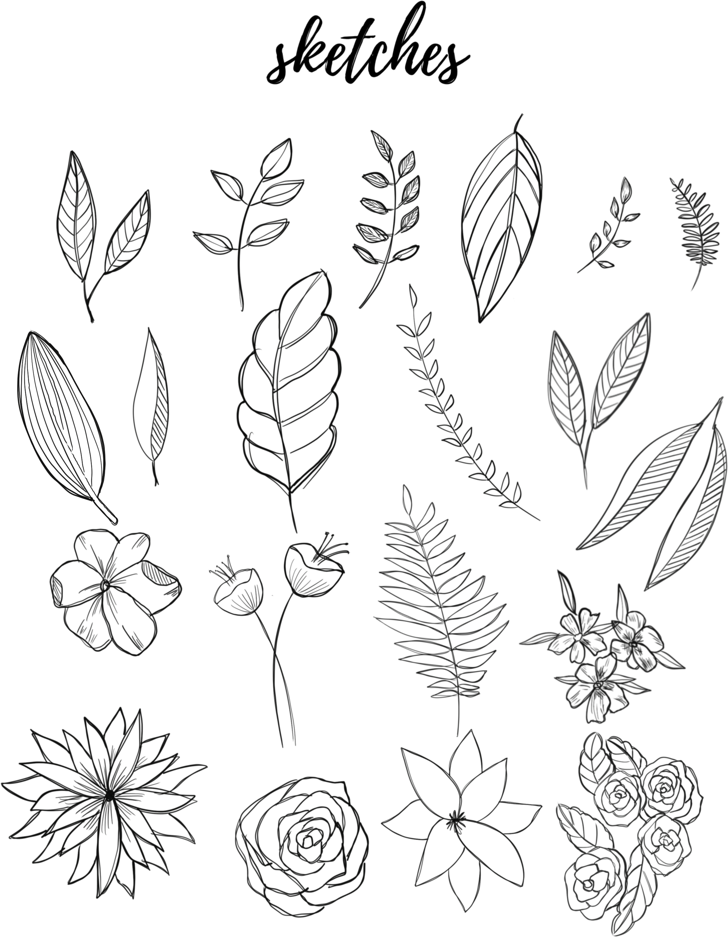 Download Free Botanical Drawings For Bullet Journaling - Bullet Journal ...