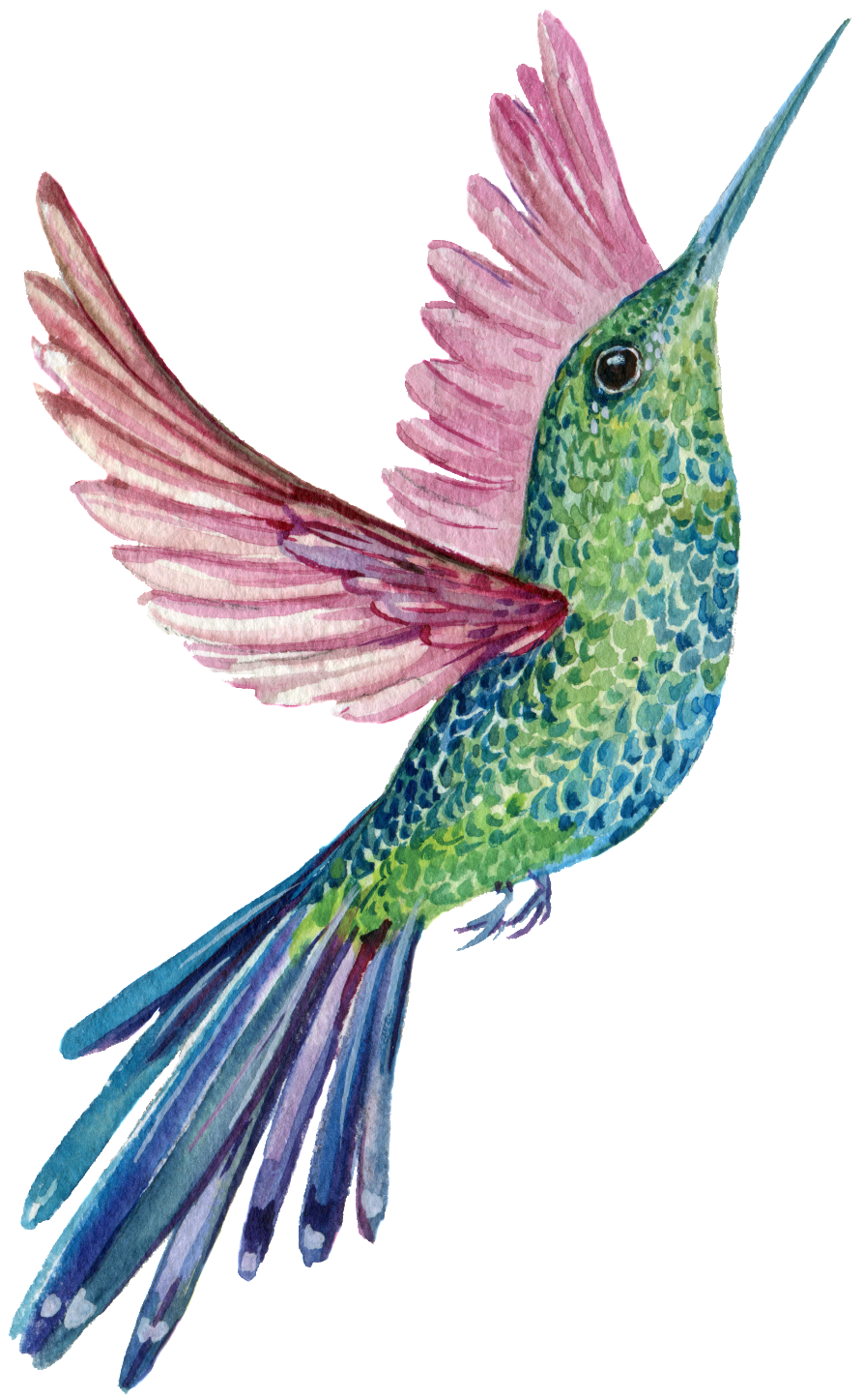 This Graphics Is Hand Painted Three Color Watercolor - Watercolor ...