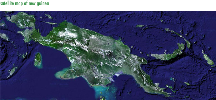 Sustainable Insect Farming In Papua New Guinea - Papua New Guinea ...