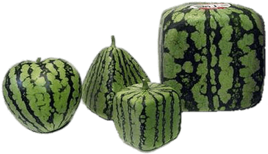 Star Shaped Watermelon (400x400), Png Download