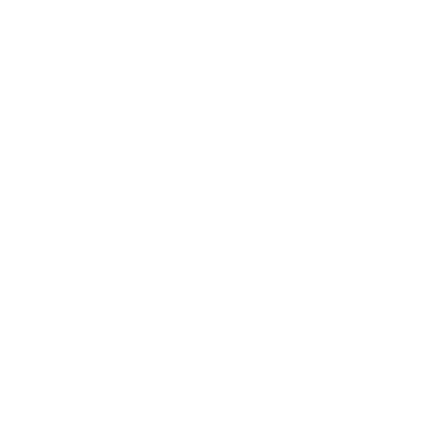 Liverpool Fc White Logo Png (900x900), Png Download