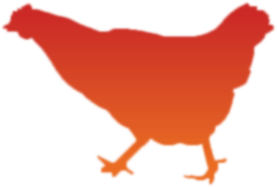 Green Chicken Icon (569x385), Png Download