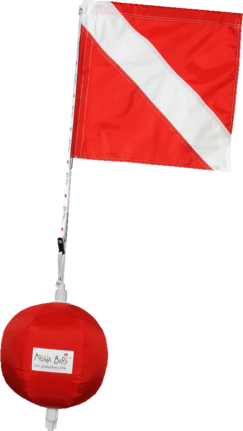 Flag (547x893), Png Download