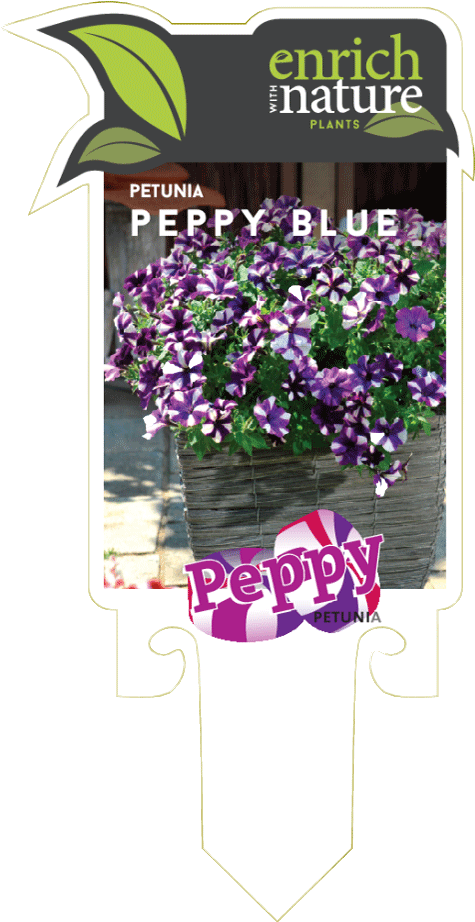 Petunia Peppy Blue Label0 - Portable Network Graphics (627x948), Png ...
