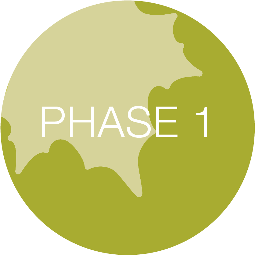 Download Phase 1 Icon-01 - Phase 1 Icon Png | Transparent PNG Download ...