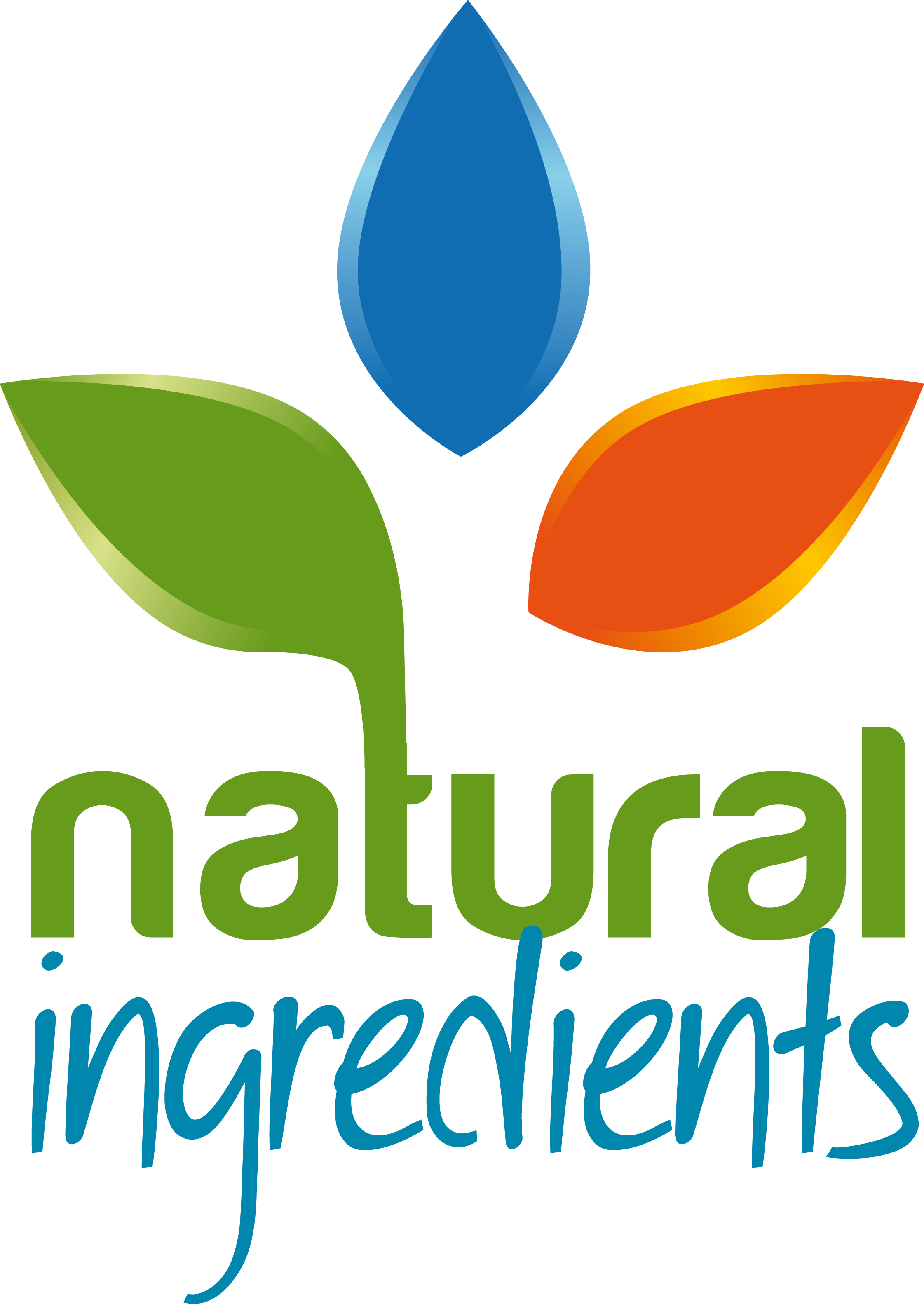 Download Natural Ingredients Png | Transparent PNG Download | SeekPNG
