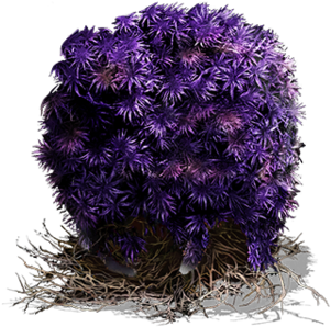 Download Purple Moss Clump - Illustration | Transparent PNG Download ...