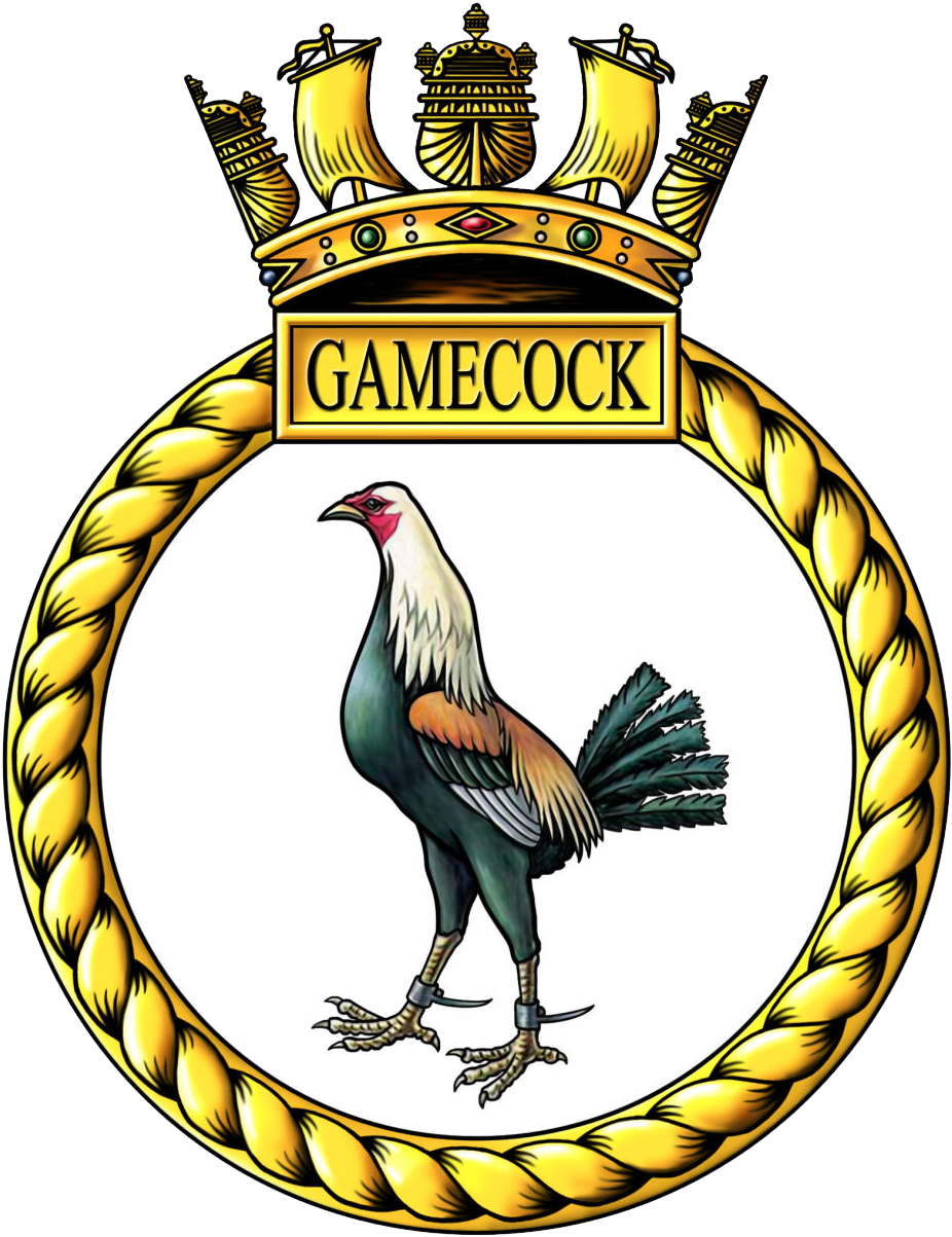 Hms Gamecock (1024x1281), Png Download