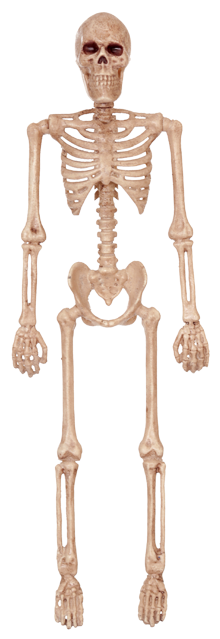 Spooky Skeleton (236x650), Png Download