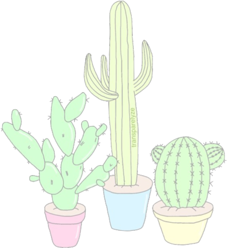 Download Cactus Overlay Tumblr - Cactus | Transparent PNG Download ...