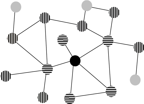 Illustration Of The Dilation Procedure, Showing The - Illustration ...