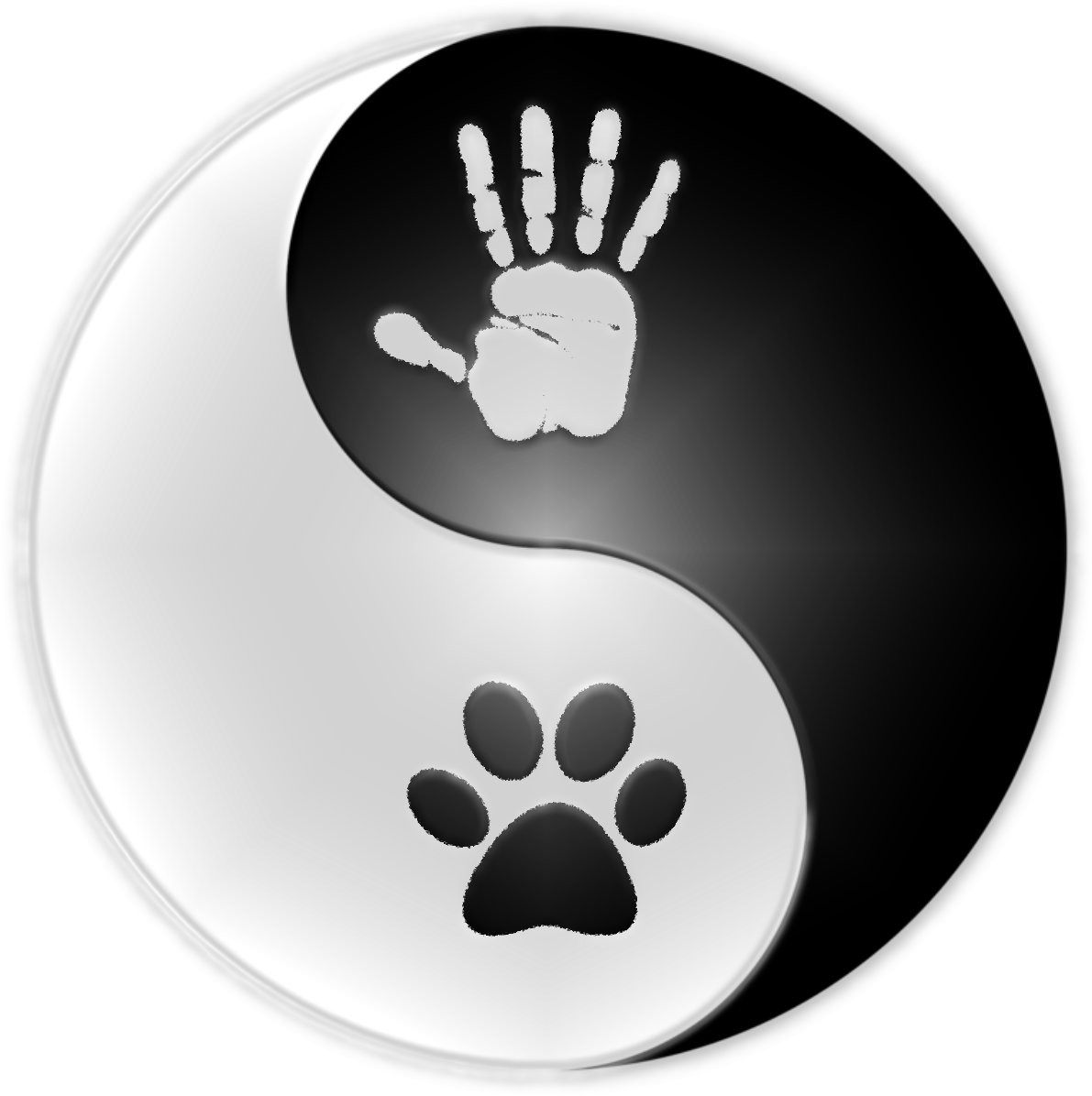 Download Paw And Hand Png | Transparent PNG Download | SeekPNG