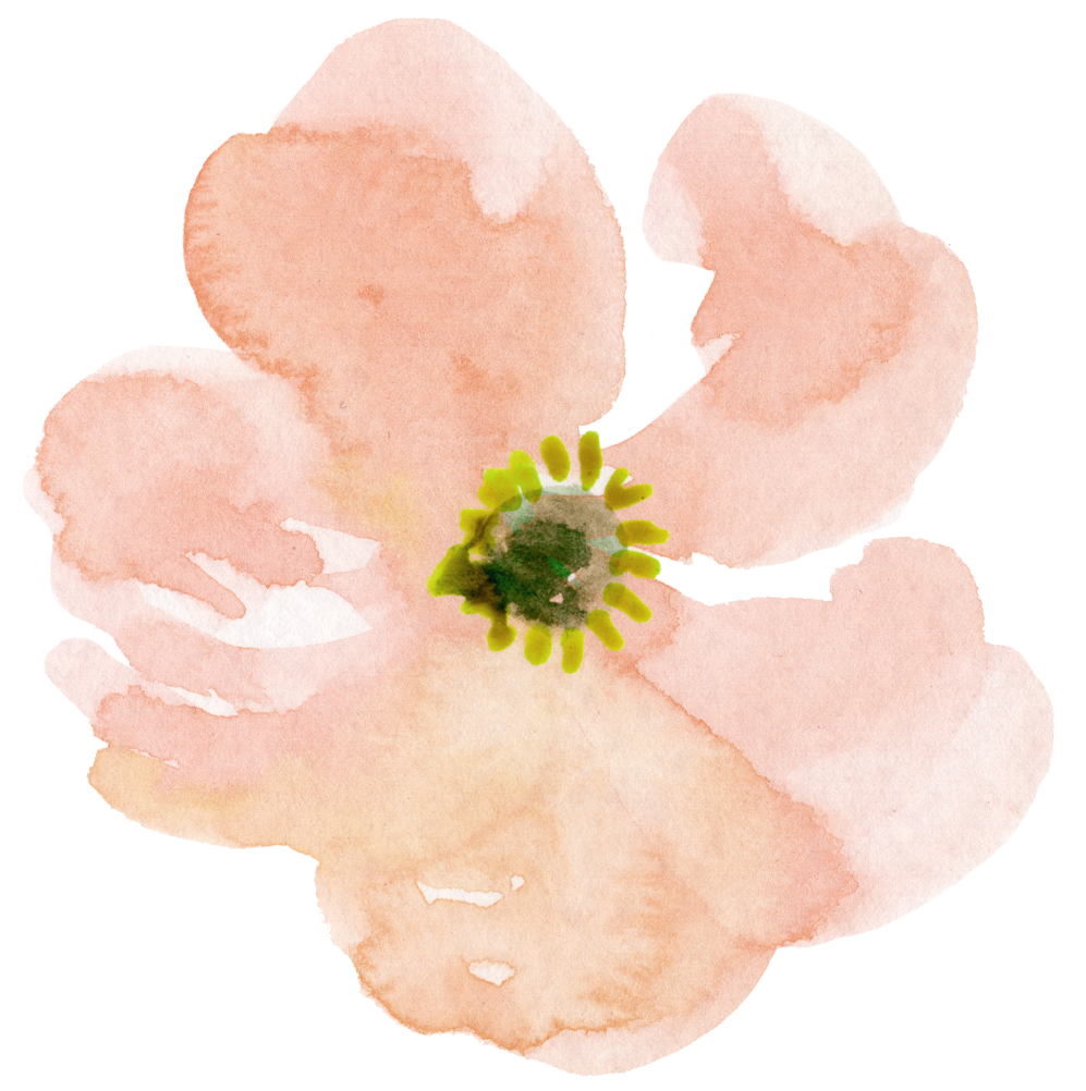 4 Peach Flower (1000x1062), Png Download