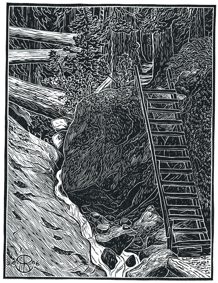 Steep Ravine Ladder (914x914), Png Download
