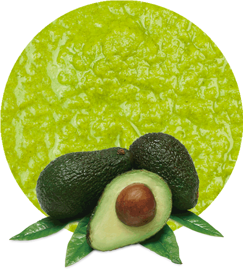 As An Avocado Puree Supplier, Is The Perfect Place - Avocados ...