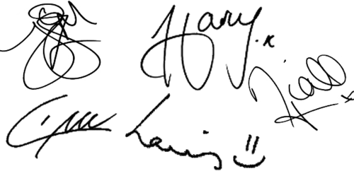 One Direction Signatures Png (500x242), Png Download