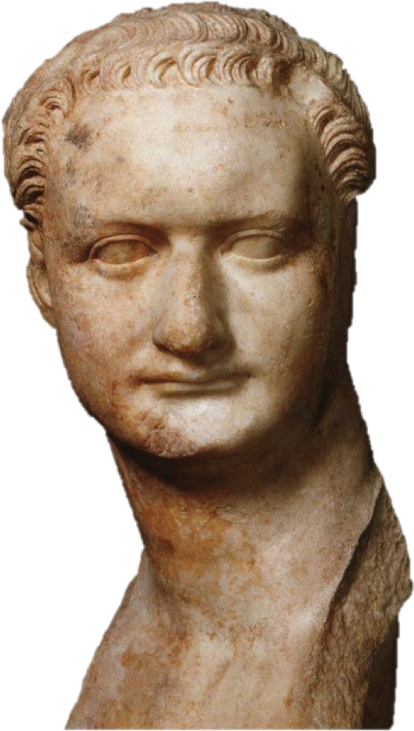 Go To Image - Roman Bust Art Transparent (644x1075), Png Download