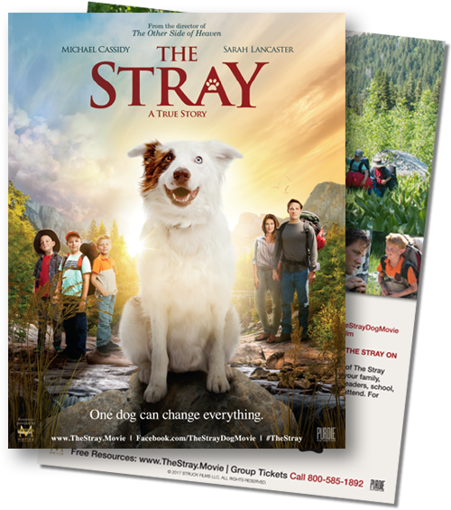 The Stray Ads For Printing - Stray (500x602), Png Download