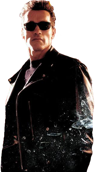 Download Picture Of Arnold Schwarzenegger As The Terminator - Arnold ...