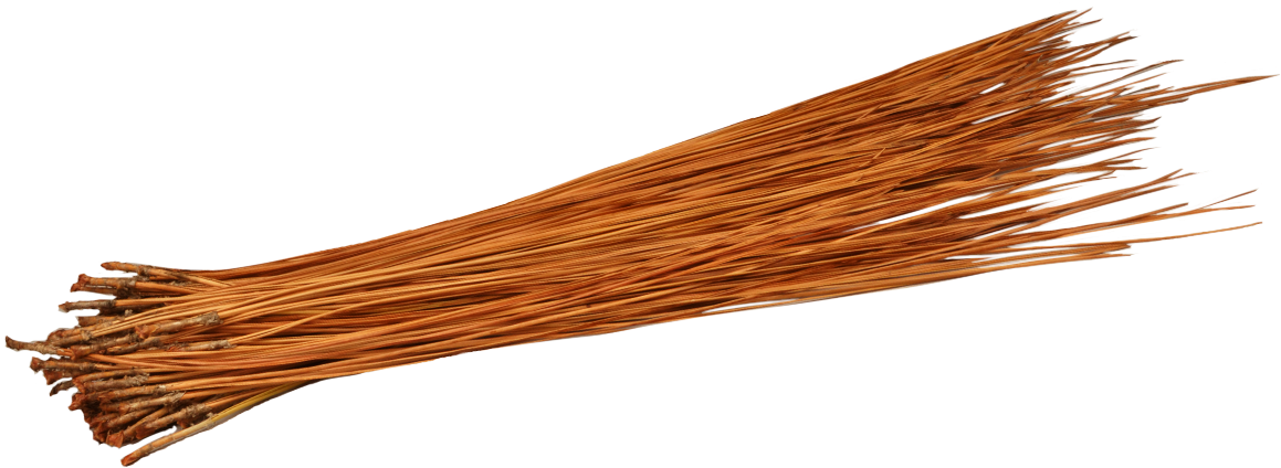 Pine Needles 2oz Bundle - Wire (1200x600), Png Download