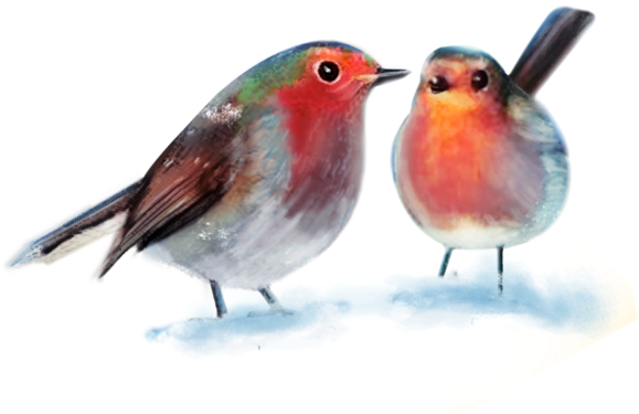 Winter Birds - Winter Birds Png (600x405), Png Download