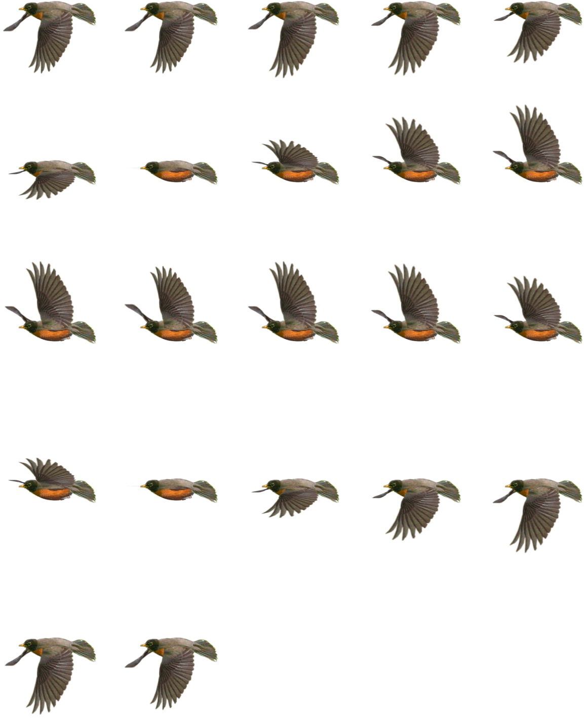 Download Robin Sprite Sheet - Bird Sprite Sheet Png | Transparent PNG ...