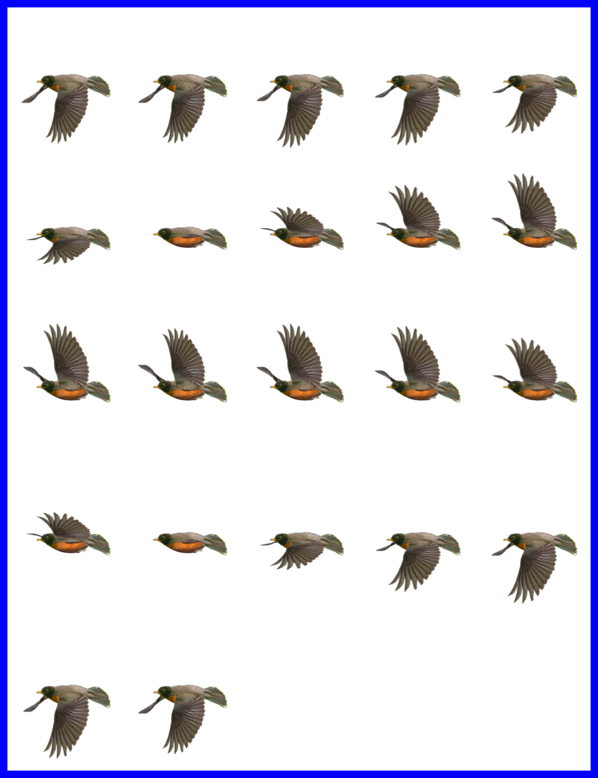 Unbelievable Robin Flying Sprites Image For Bird Cartoon - Bird Flying ...