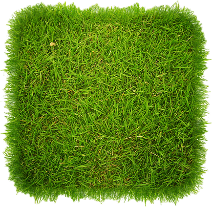 Background - Grass Texture (434x424), Png Download