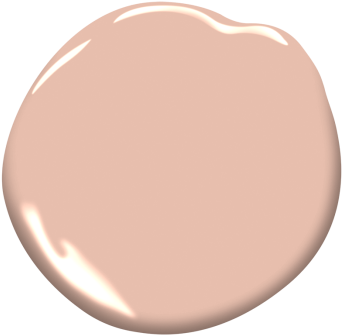 Download Conch Shell - Color | Transparent PNG Download | SeekPNG