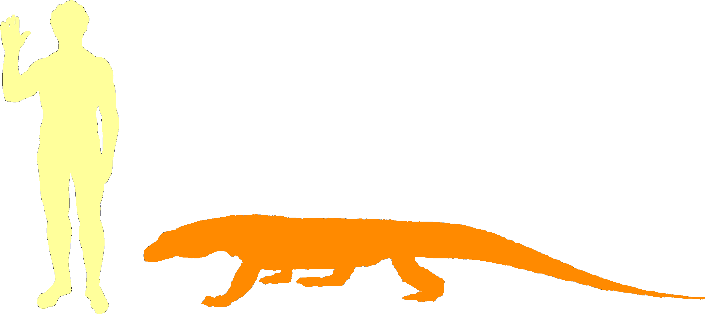 The Komodo Dragon Is The World's Biggest Lizard - Dragon Compared To A ...