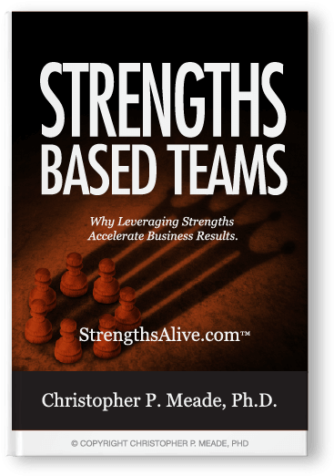 Strengths‐based - Poster (380x528), Png Download