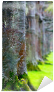 Tree (400x400), Png Download