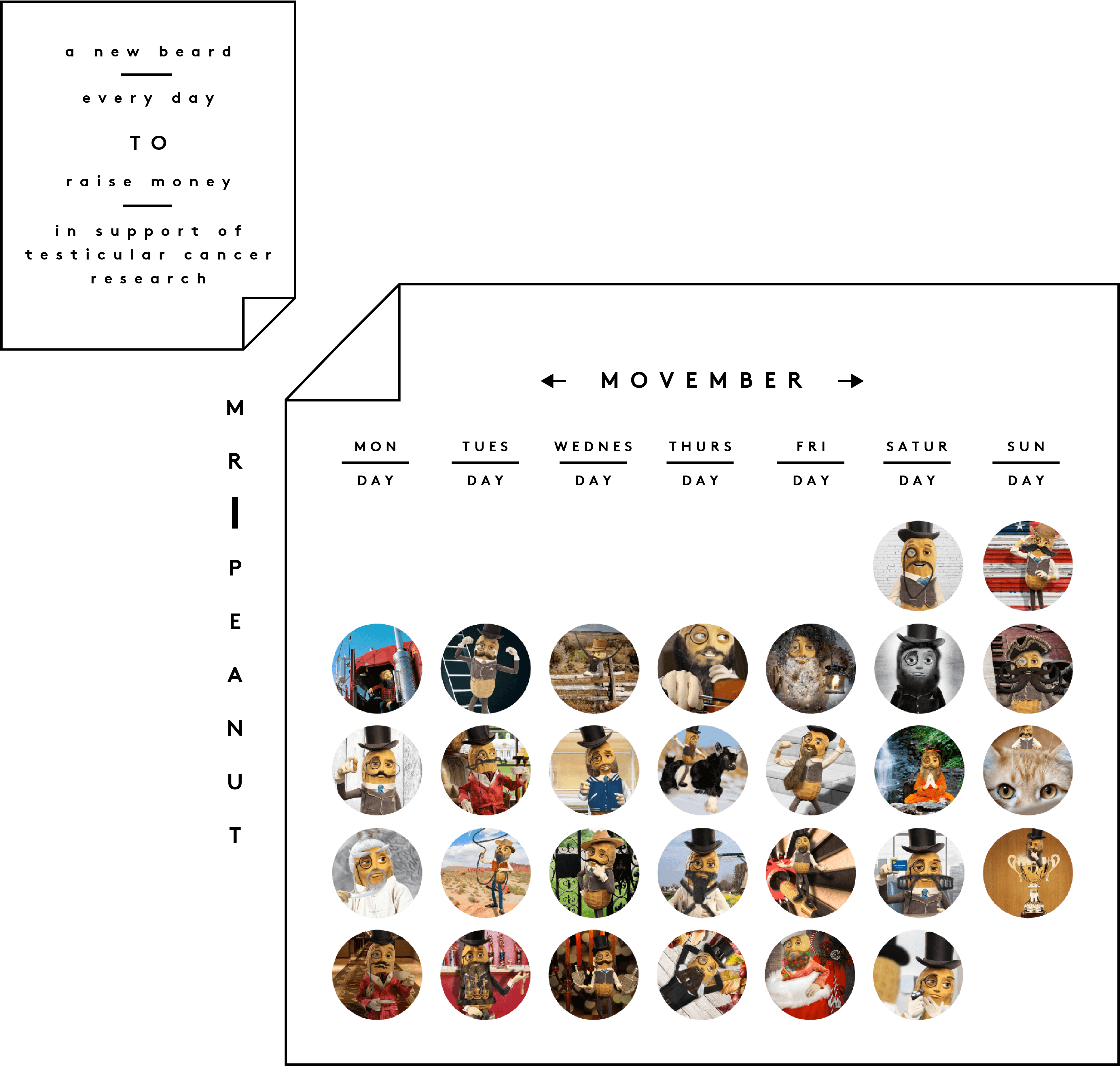 Mrpeanut Calendar 01 - Diagram (4875x4644), Png Download