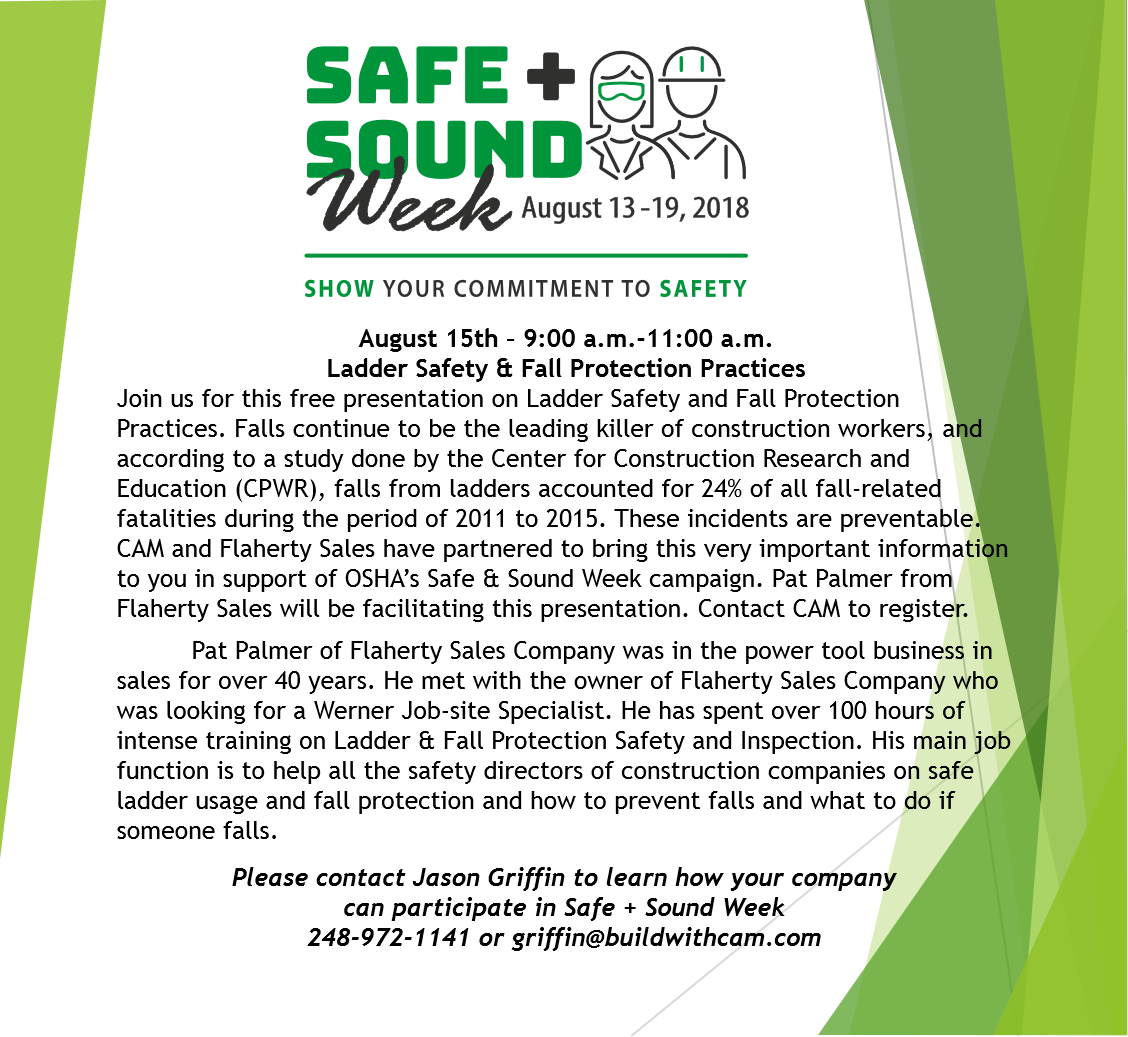 Safe & Sound Campaign - Ecosystem (1128x1037), Png Download