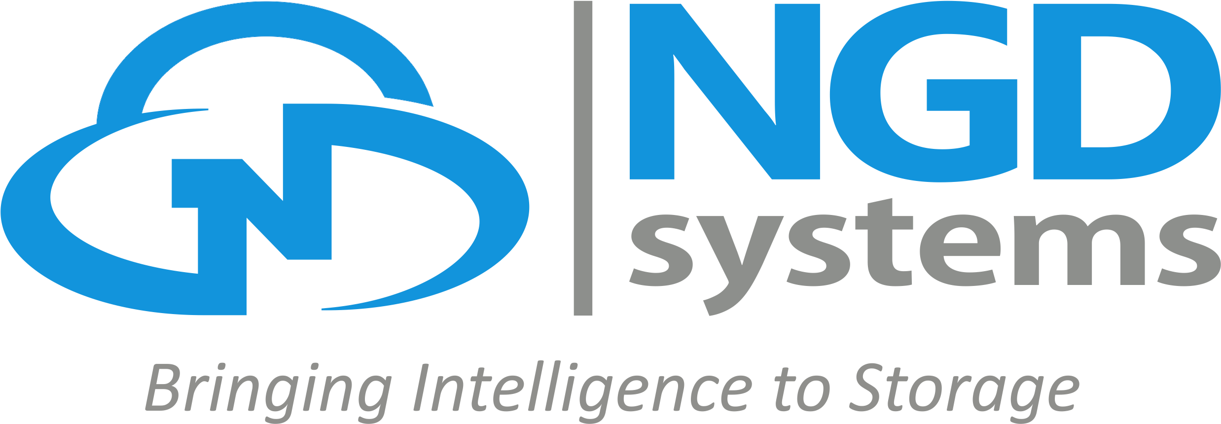 Ngd Systems Logo (2476x998), Png Download