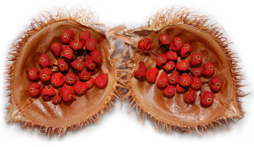 Kyäni Sunset® - Kyani Sunset Ingredients List (500x289), Png Download