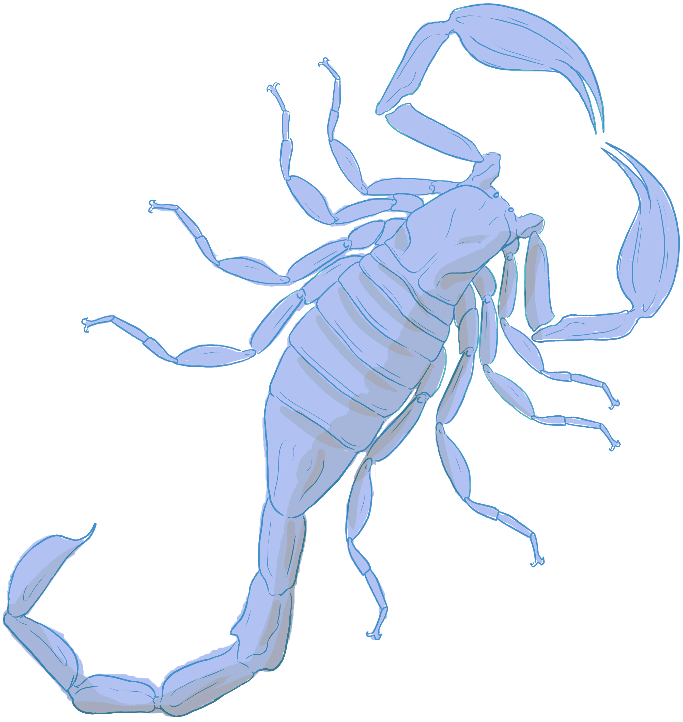 Ursa Major (7346x7346), Png Download