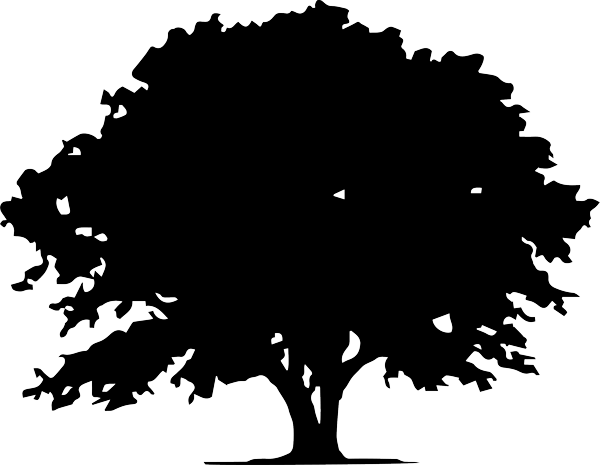 Transparent Oak Tree Icon (600x465), Png Download