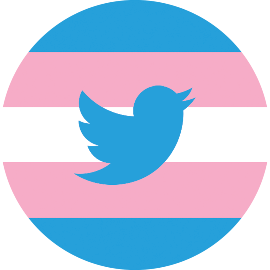 Twitter Trans Flag Rgb (900x900), Png Download