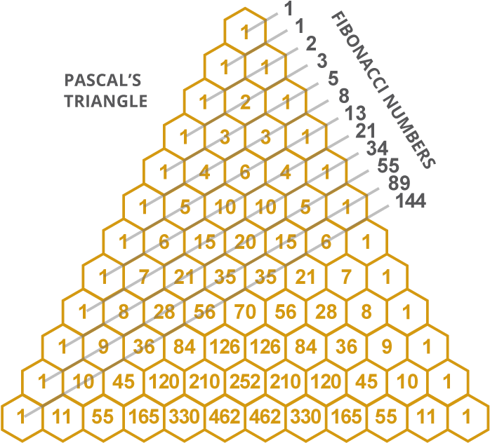Fibonacci Sequence Png Png Image Collection Images