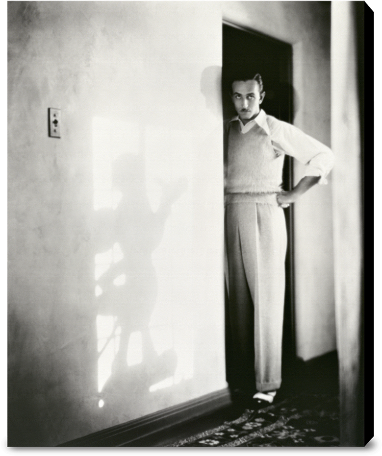 Walt & Mickey Mouse Shadow - Walt Disney: An American Original [book ...