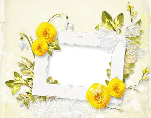 Download Bright Yellow Flowers - Picture Frame | Transparent PNG ...