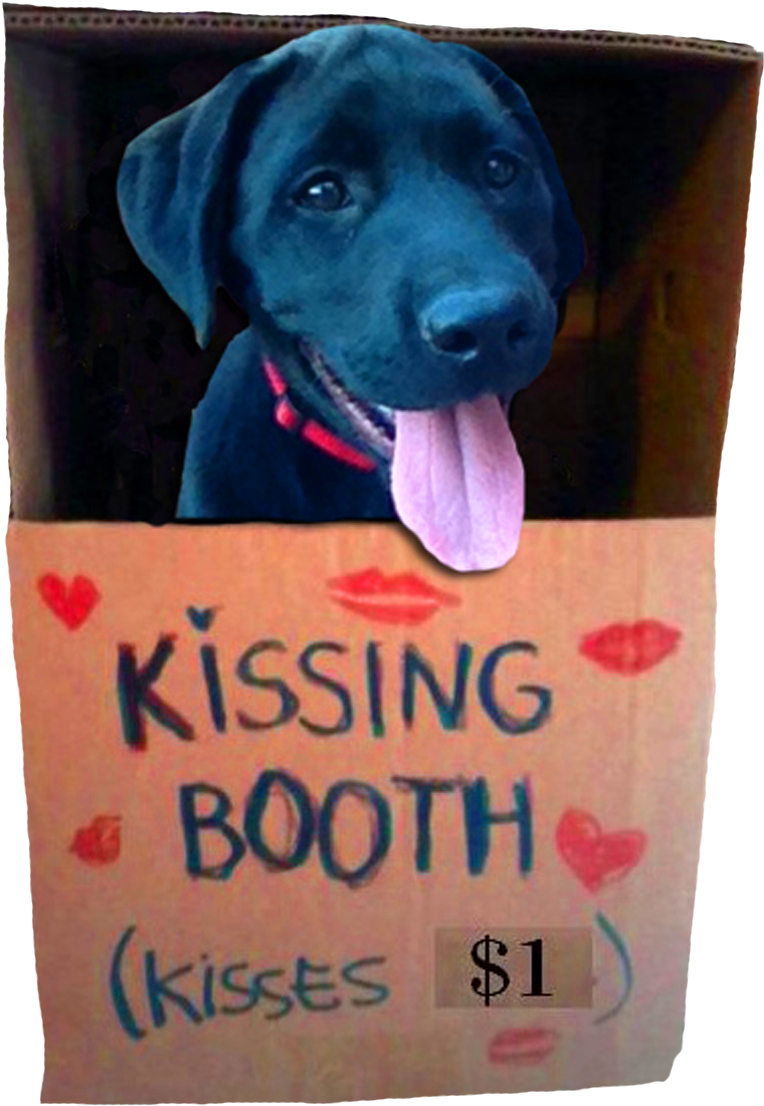 Chunk Kissing Booth, Black Lab Puppy - Halloween Dog Costumes Home Made ...