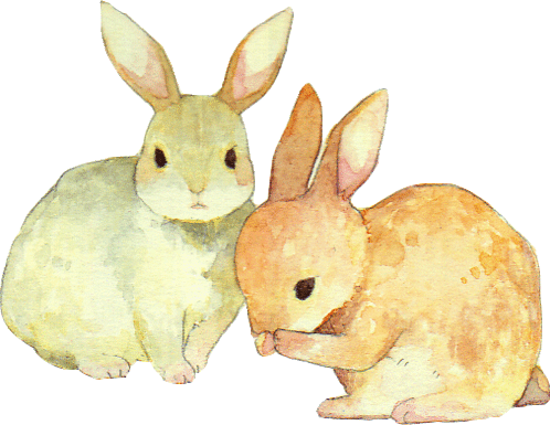 Two Rabbits - Rabbit (498x385), Png Download