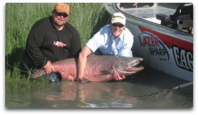 World Record King Salmon (669x415), Png Download