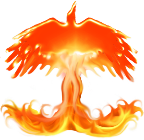 Fire Hawk Logo - Flaming Hawk Png (500x500), Png Download