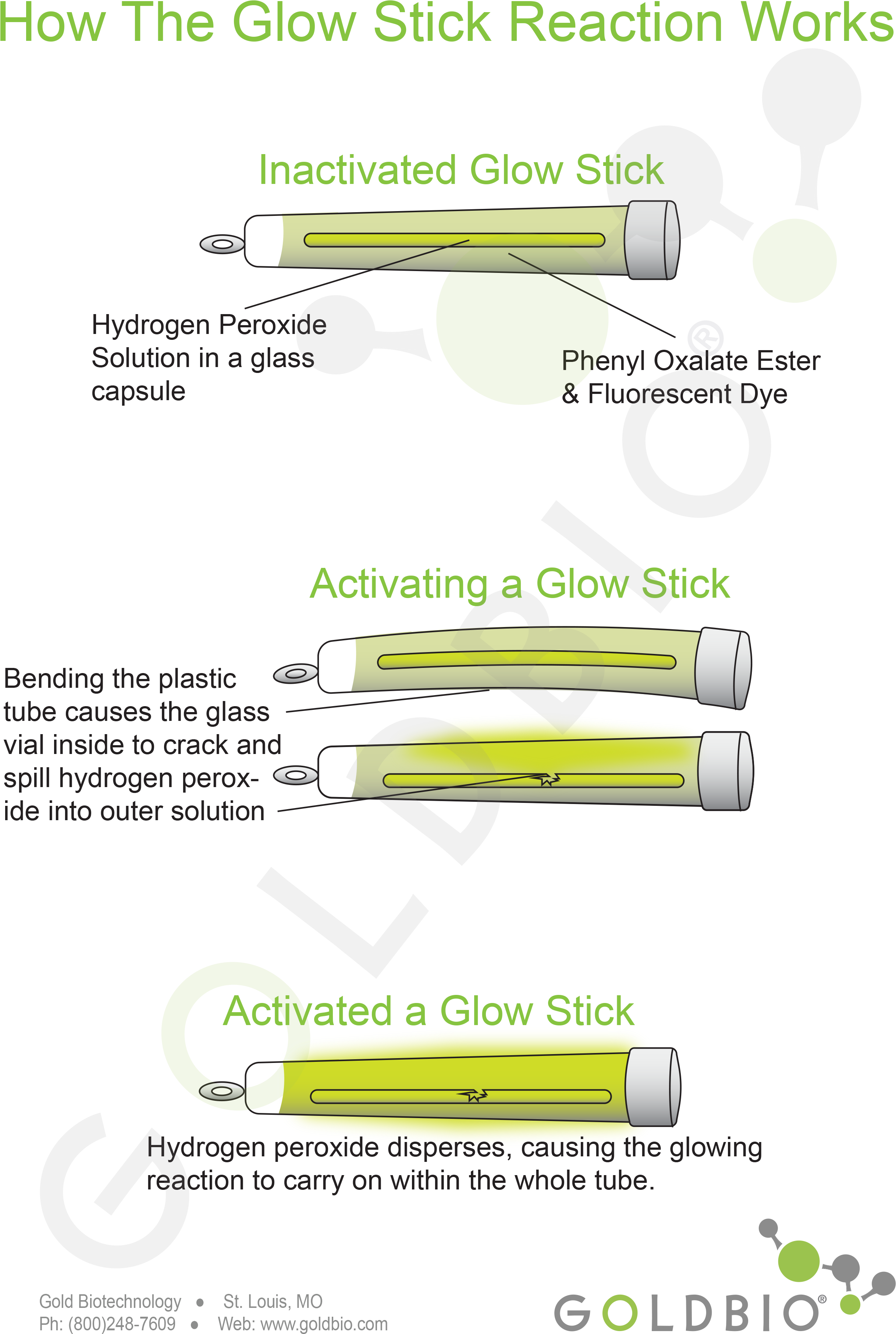 Parallel (2632x3770), Png Download