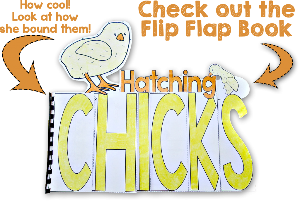 Hatching Chicks - Cartoon (1024x691), Png Download