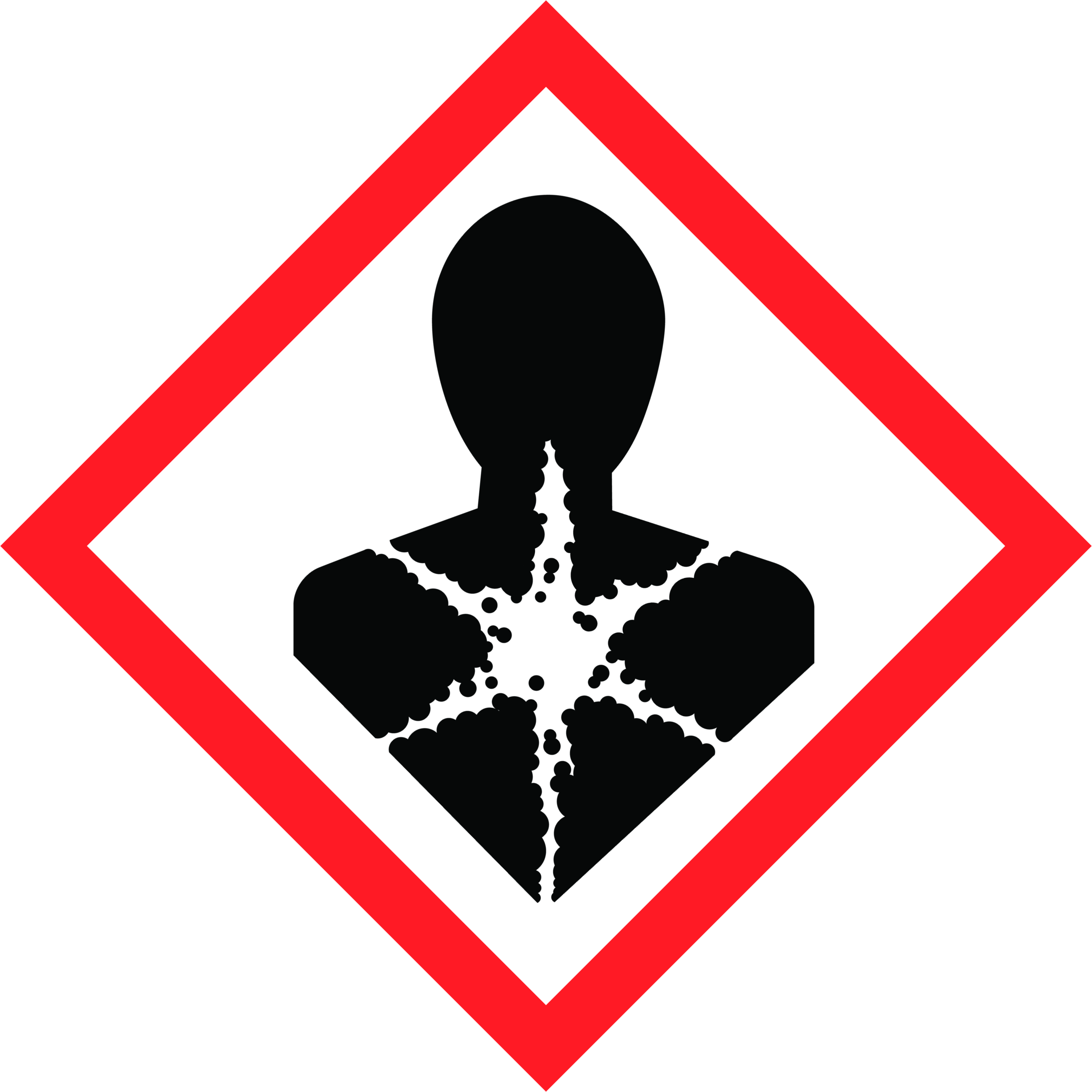 Ghs07 Warning Toxic Cat - Hazard Symbols Health Hazard (3000x3000), Png ...