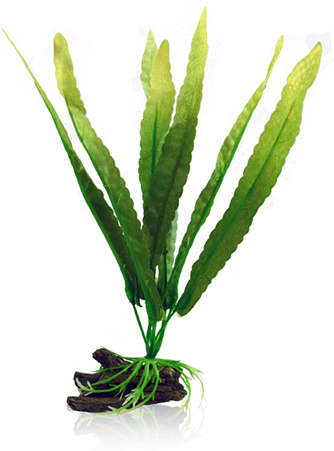 Bettacare Betta Plant Java Fern - Java Fern Aquarium Plastic (343x450 ...